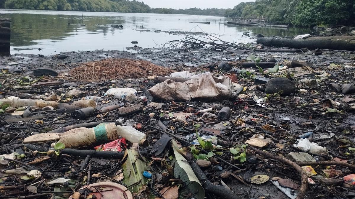 Kallai is the most polluted river in Kerala: CPCB report - The Hindu