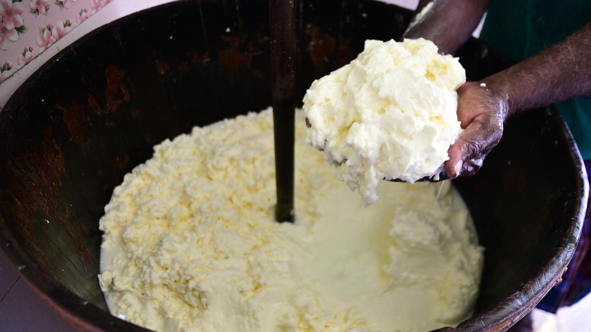Watch | How is the unique Uthukuli butter made? - The Hindu