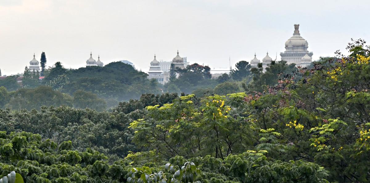 Review of Roopa Pai’s Cubbon Park — The Green Heart of Bengaluru: Where ...