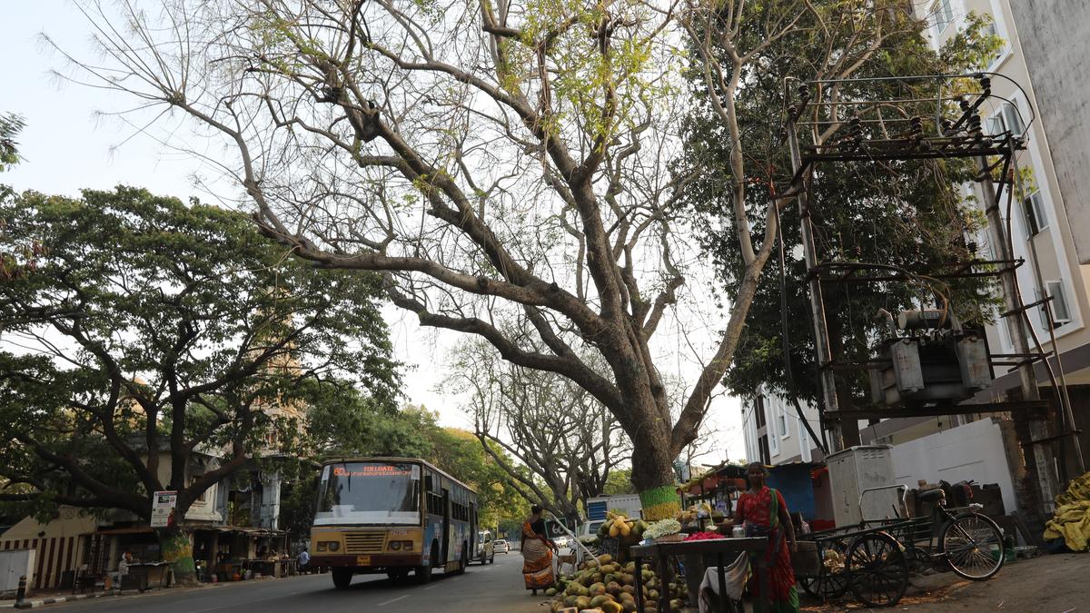 Preserving the past, only effecting a minor tweak - The Hindu