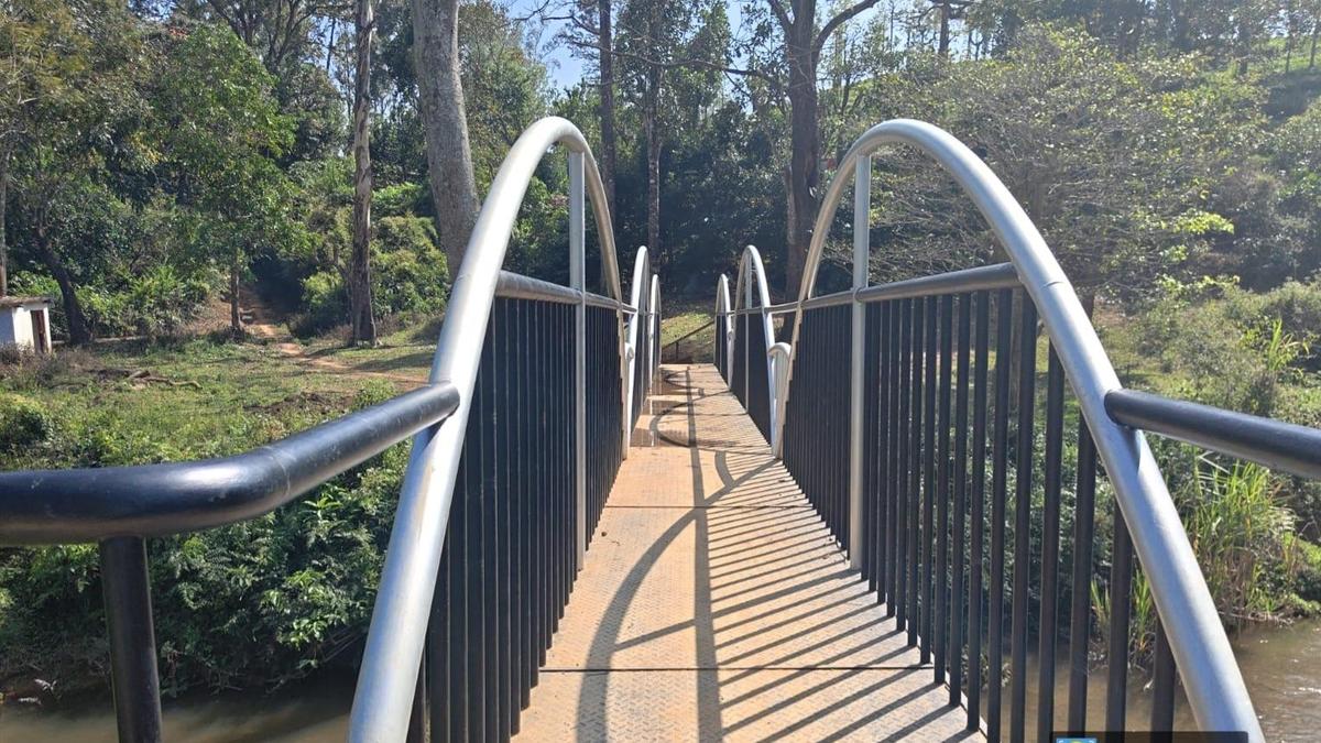 CPI(M) demands wider bridge for Adivasi residents in Pandalur - The Hindu