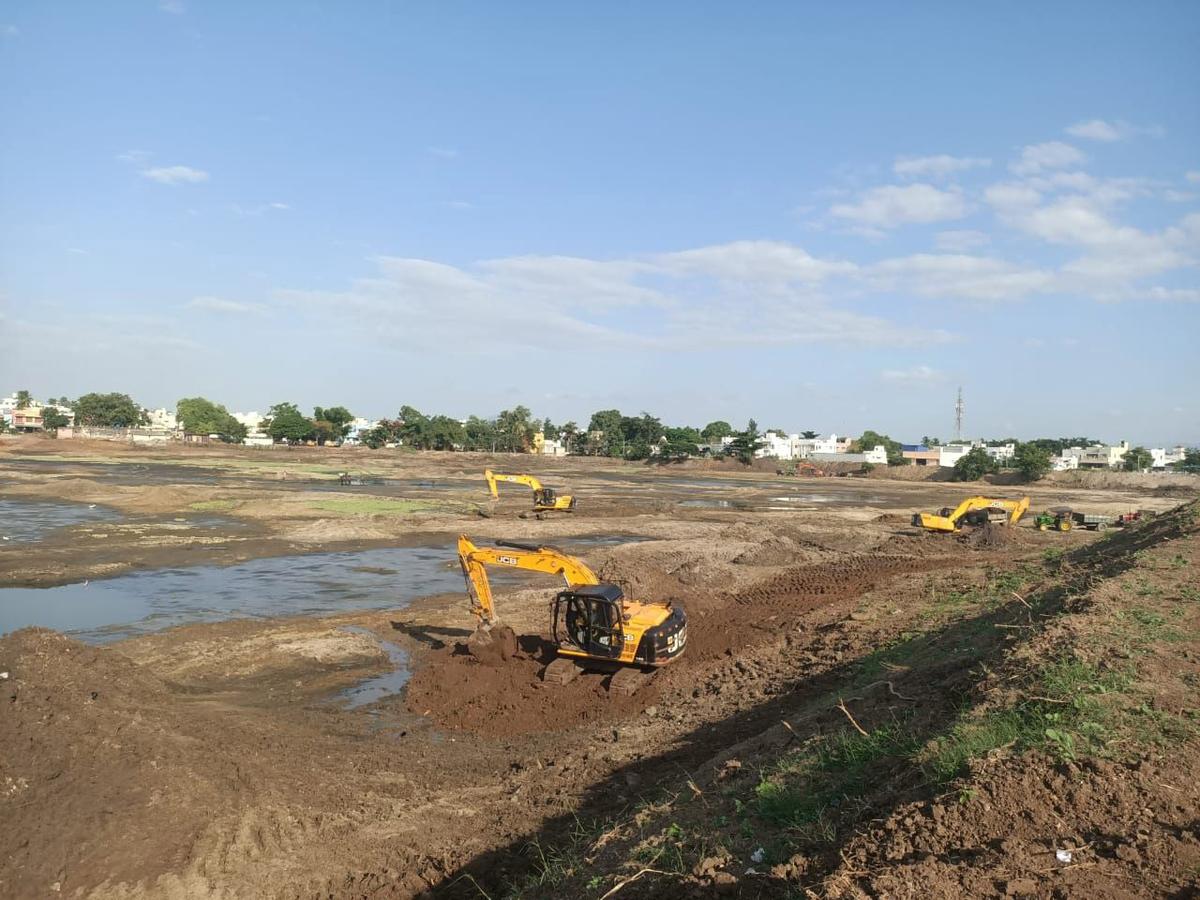 Water lettuce spread in 40-acre tank removed in Theni district, thanks ...