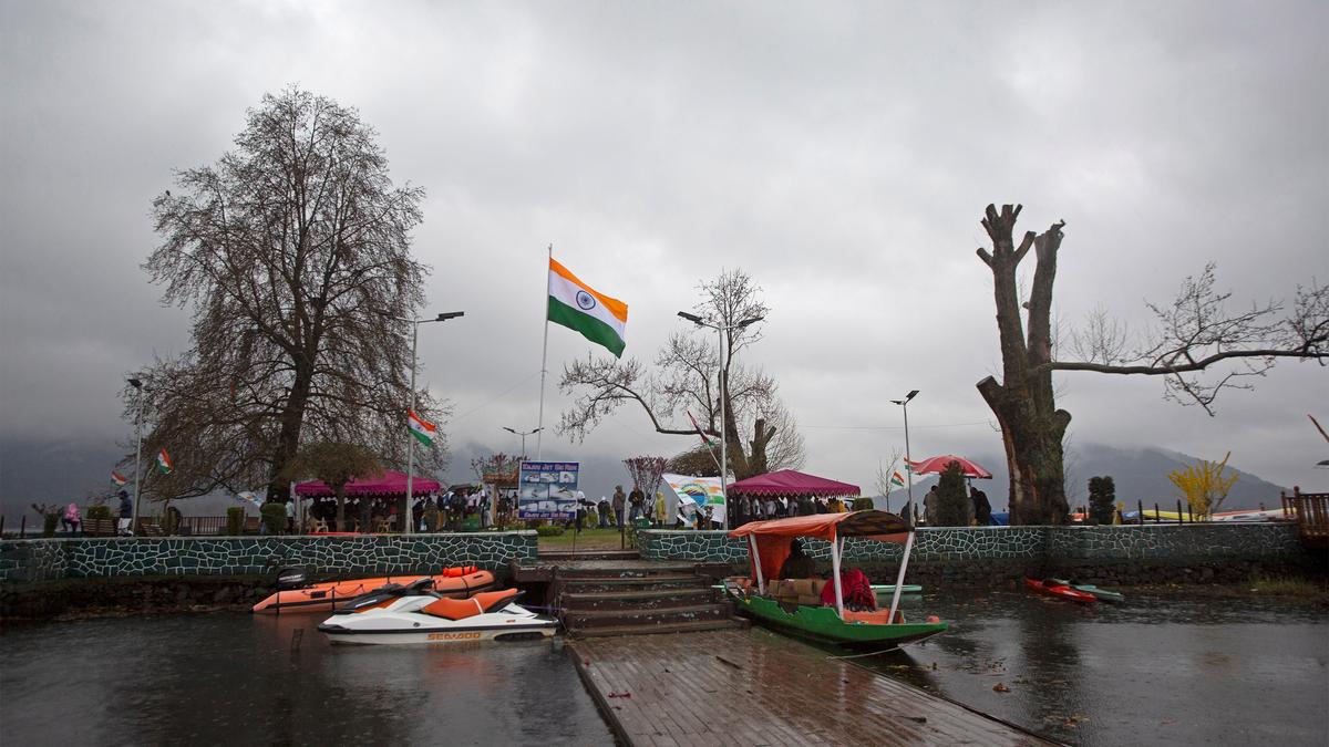 Chinars return to iconic 'Char Chinari' island on Srinagar's Dal lake - The Hindu