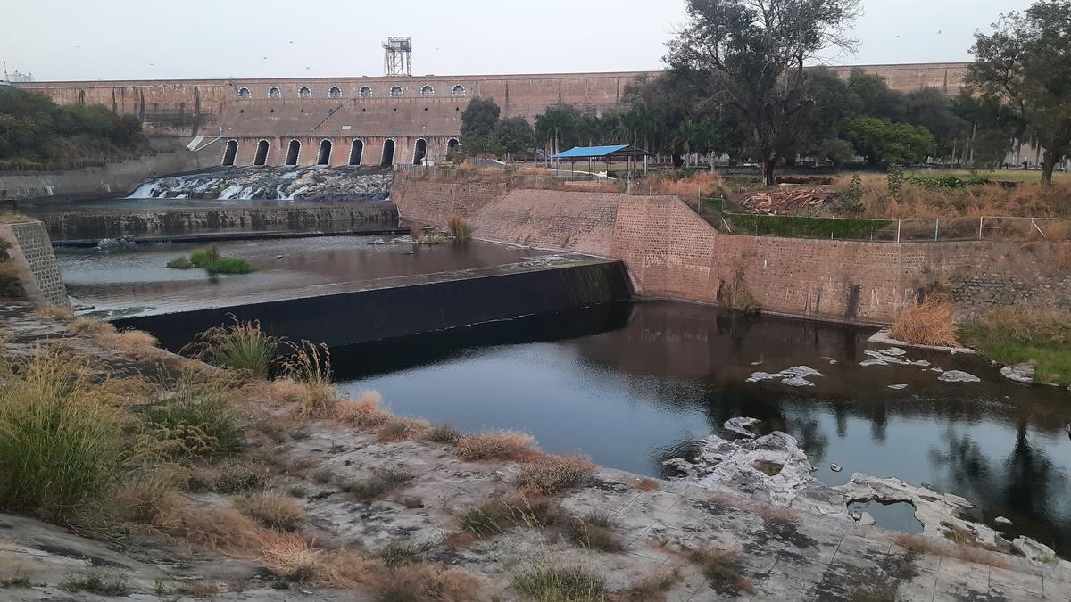 Mettur dam’s surplus water discharge touches a record high this year ...