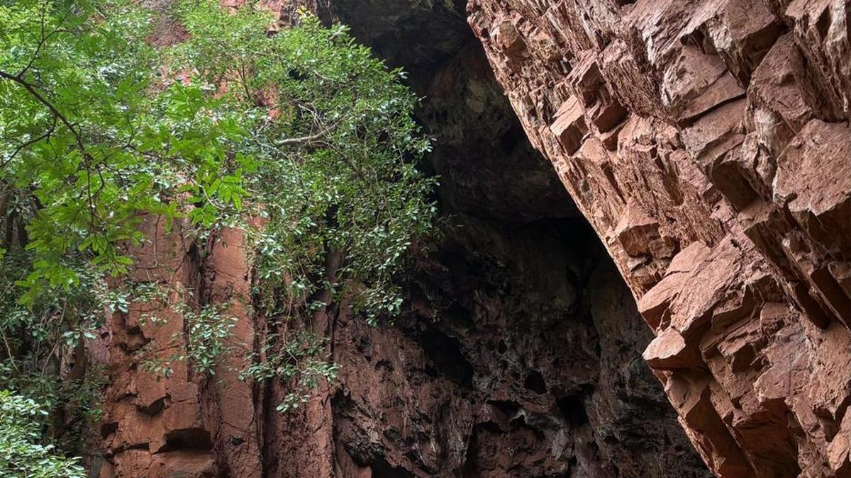 Cave site belonging to Stone Age found in Sandur forests, says senior ...