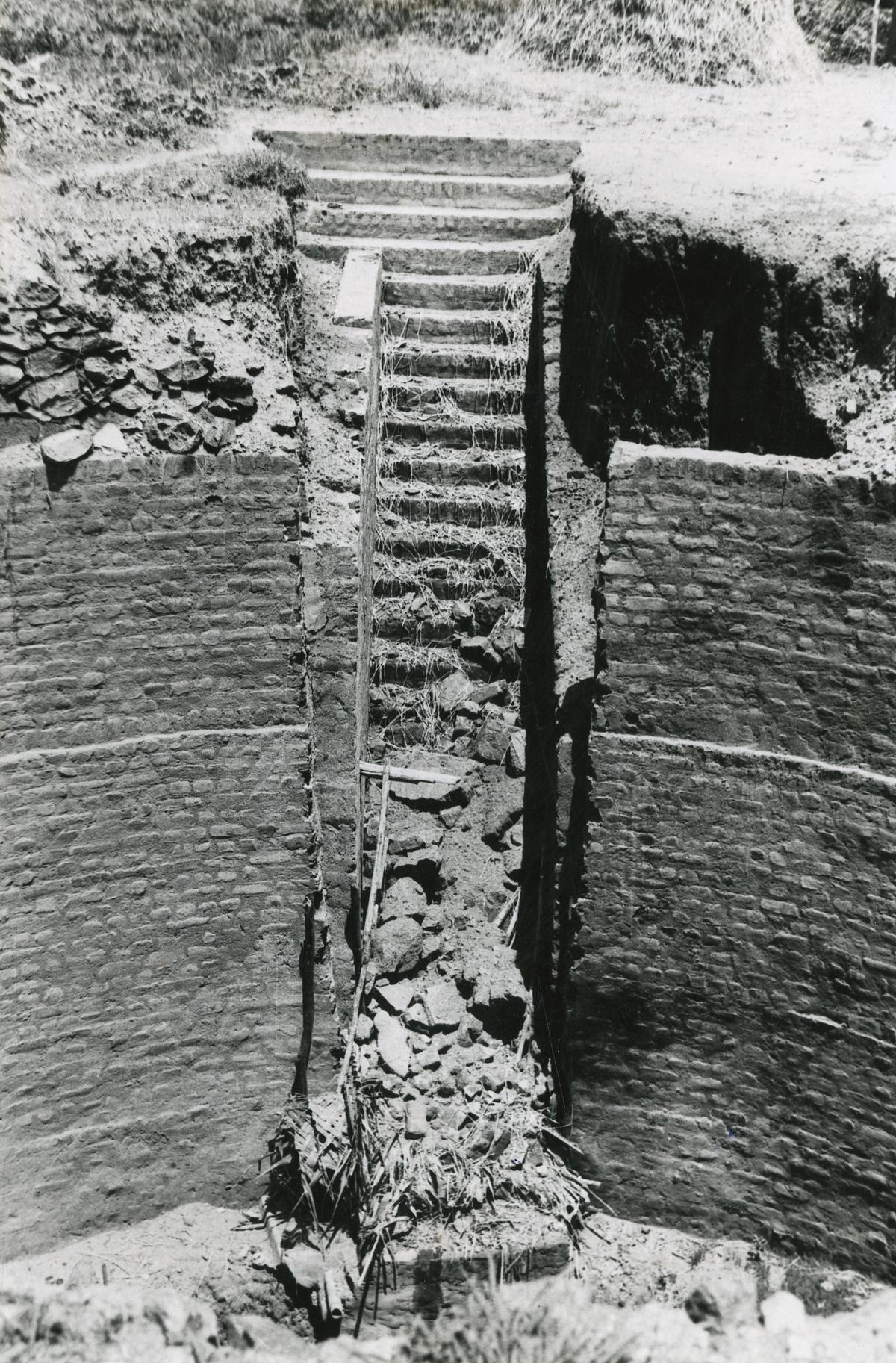 The Vachathi story: justice delivered, after the State turns mob - The ...