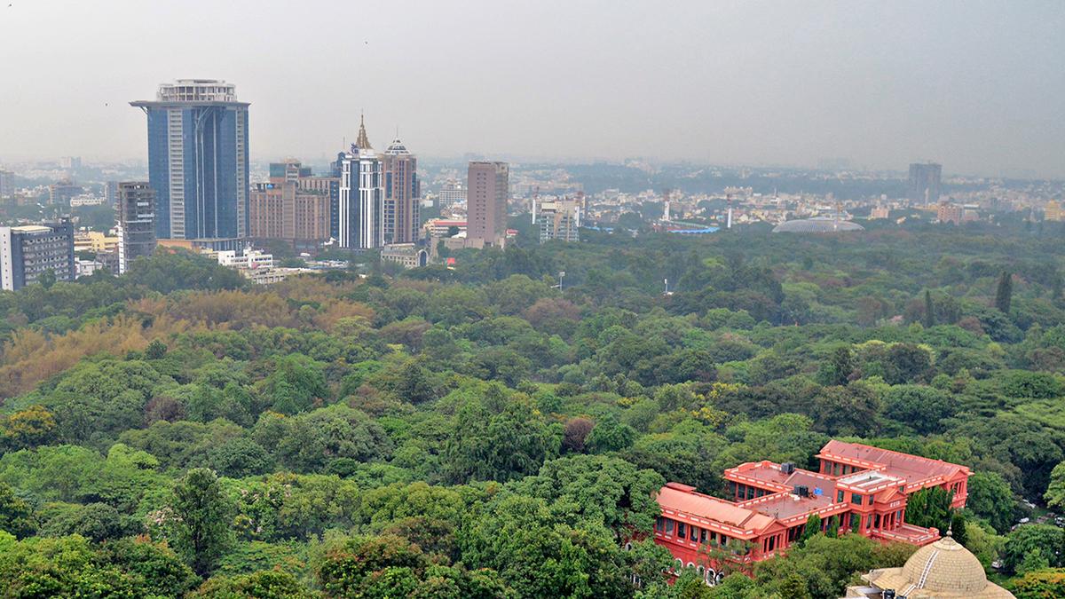 705 forest encroachment cases registered in Bengaluru Urban Division ...