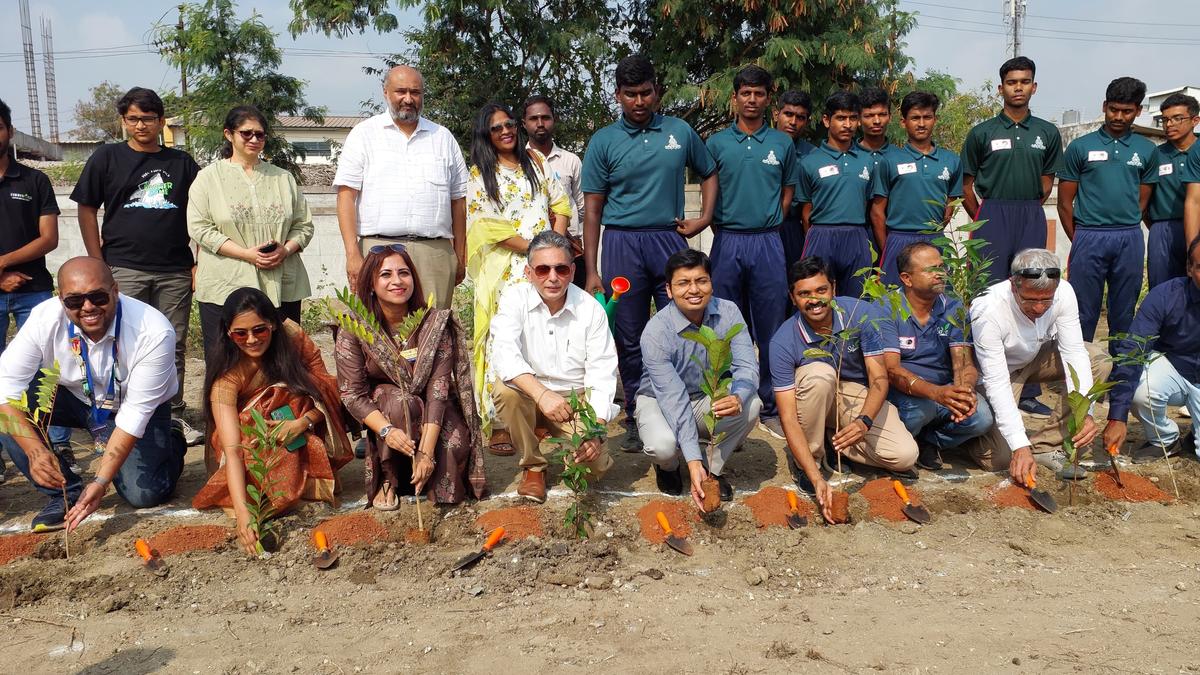 Phase II of urban afforestation project launched in Coimbatore - The Hindu