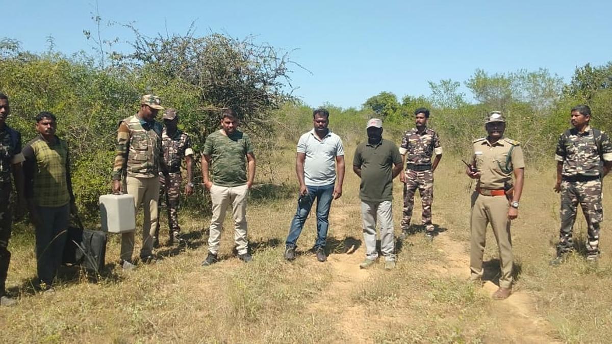 Not fully sedated, wild elephant Karuppan returns to forest - The Hindu