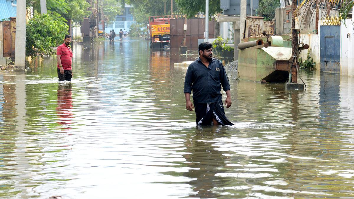 ‘Chennai should have a comprehensive drainage master plan’ - The Hindu