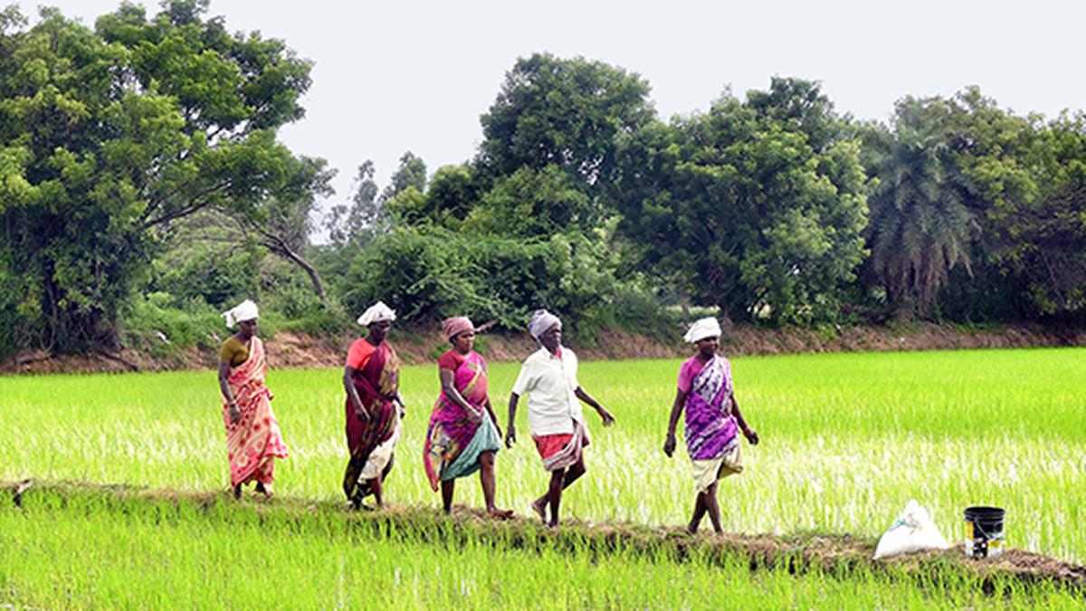 Farmers of Parandur will get market value for airport land, says ...