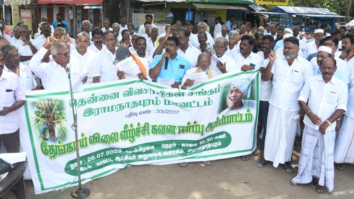 Farmers stage protest against steep fall in price of coconuts - The Hindu