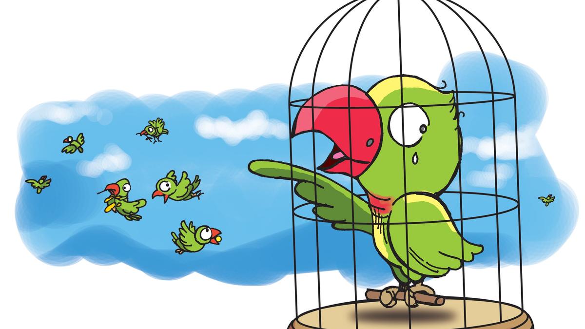 Mithu’s pain - The Hindu