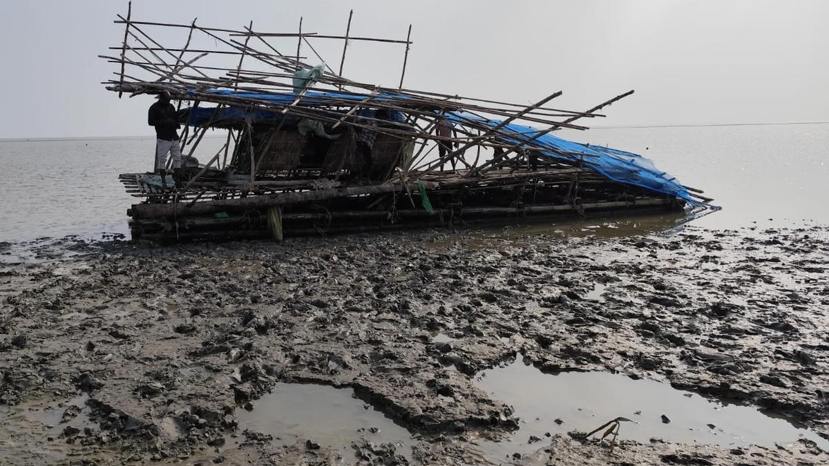 Myanmar bamboo raft washes ashore near Vedaranyam - The Hindu