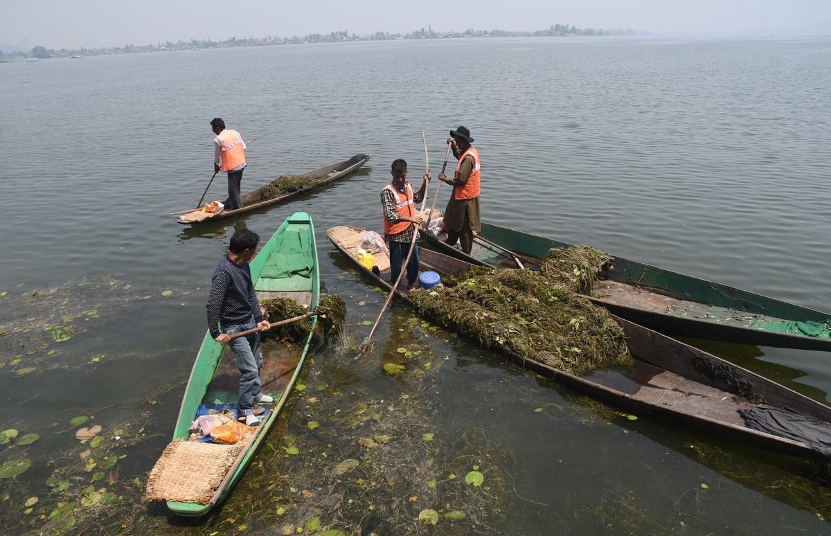6751_5_6_2023_14_30_56_5_10_KASHMIRWORLDENVIRONMENTDAY_SGR_05_06_2023.JPG - The Hindu