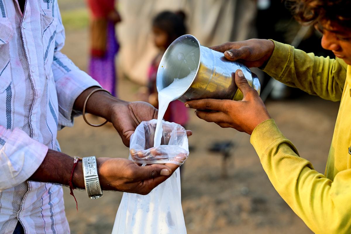 In Frames: Brains and brawn - The Hindu