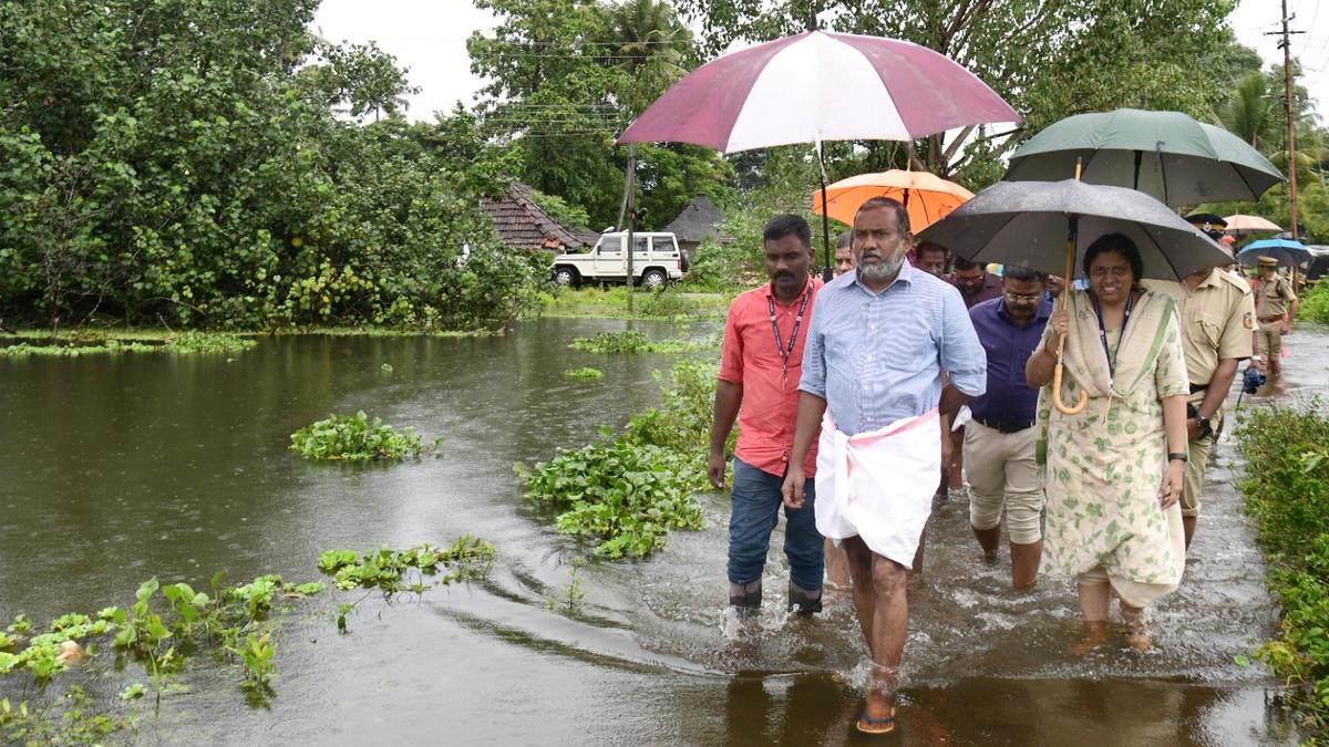 Water levels in Upper Kuttanad begin to drop - The Hindu