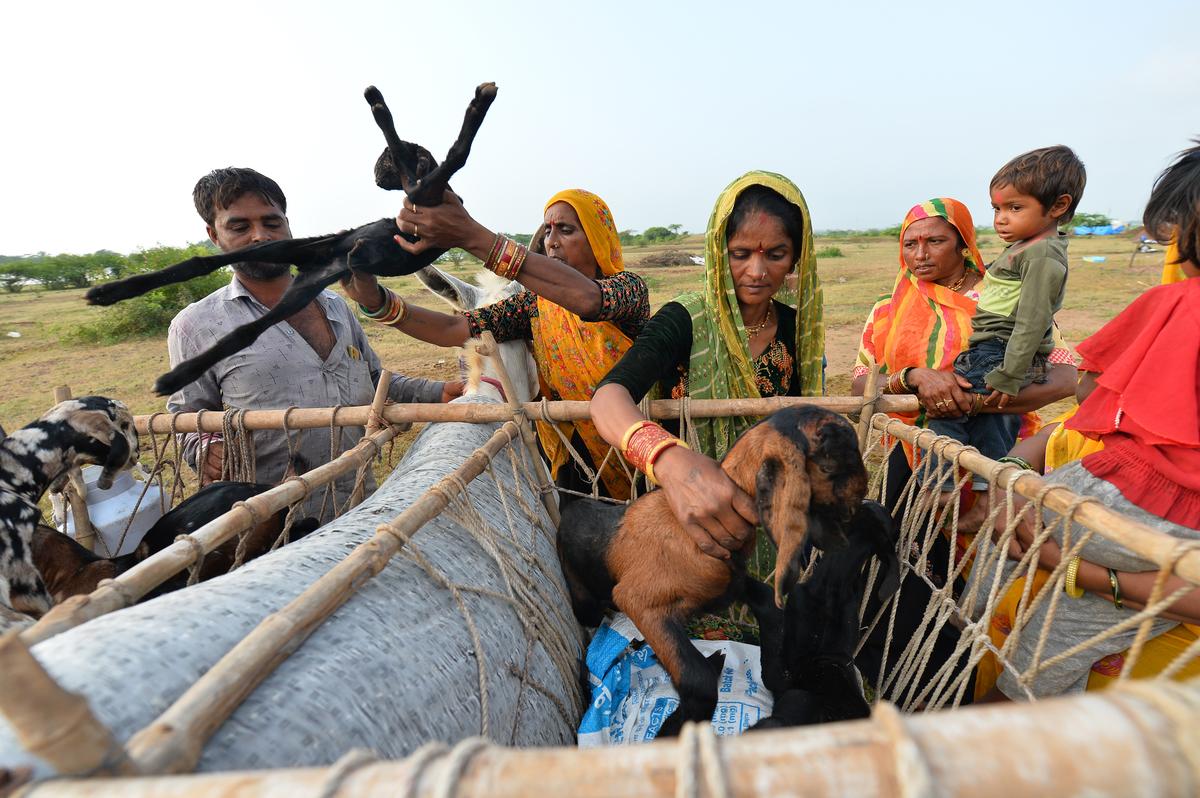 In Frames: Brains and brawn - The Hindu