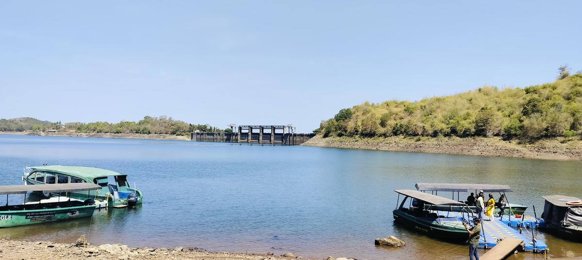 Bhadra Tiger Reserve: A paradise for scientists, tourists and ...