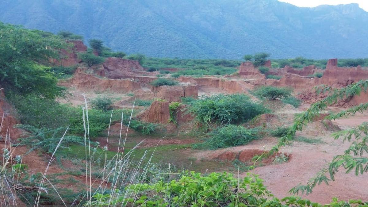 TNPCB serves notices on brick kilns in Thadagam valley for ...