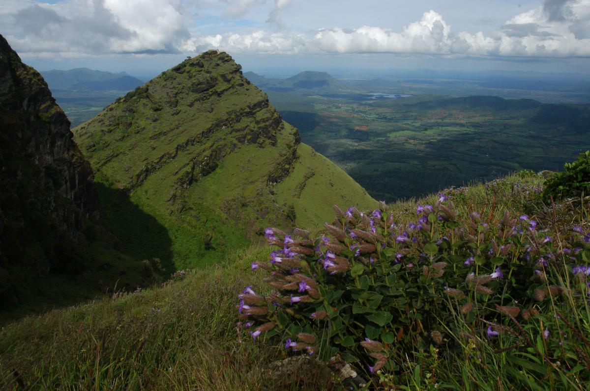 Devotees trek up Deviramma Betta in Chikkamagaluru for annual Naraka ...