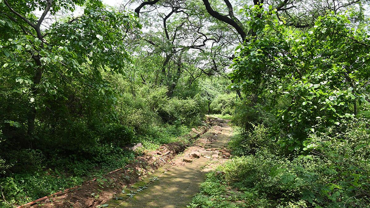 ‘People are gasping for breath’: HC expresses displeasure over ...