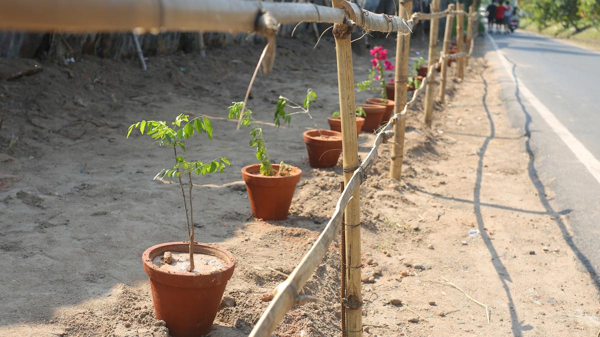 Medicinal gardens to replace waste dumping spots in Maradu municipality ...