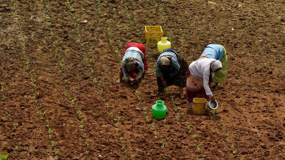 Centre plans nationwide events under ‘Meri Maati Mera Desh’ campaign in ...