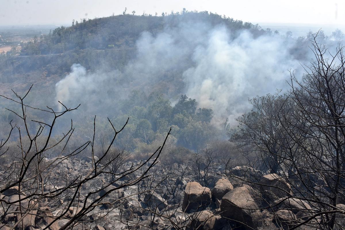 Major fire breaks out at Chamundi Hills in Mysuru - The Hindu