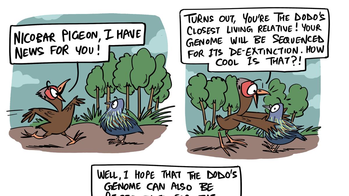 Green Humour by Rohan Chakravarty on genome sequencing of the Nicobar ...