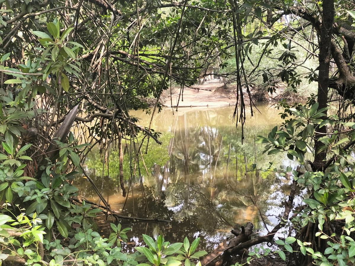 Admar Mutt seer raises voice against illegal sand extraction on ...