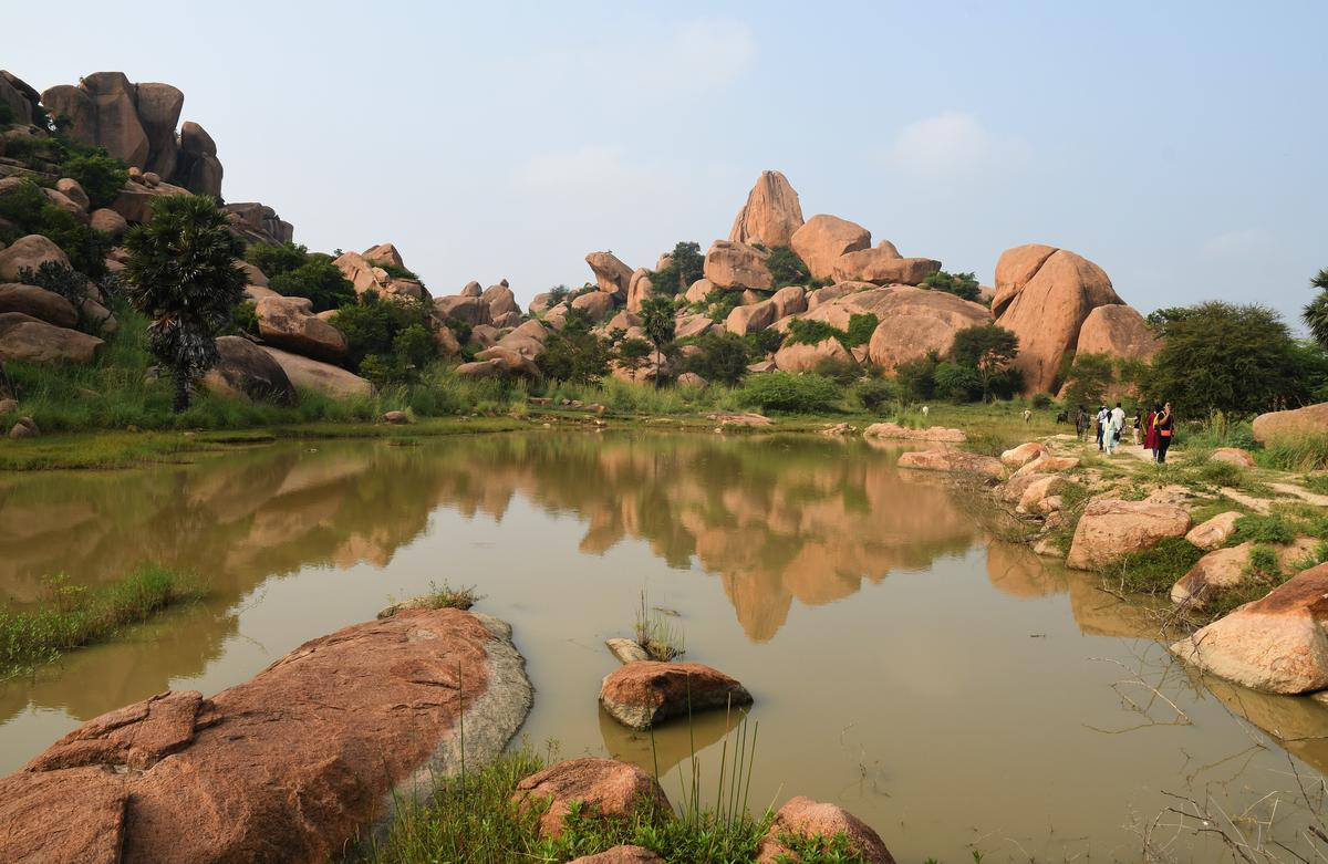 Arittapatti: a picture of rich heritage, culture and biodiversity - The ...