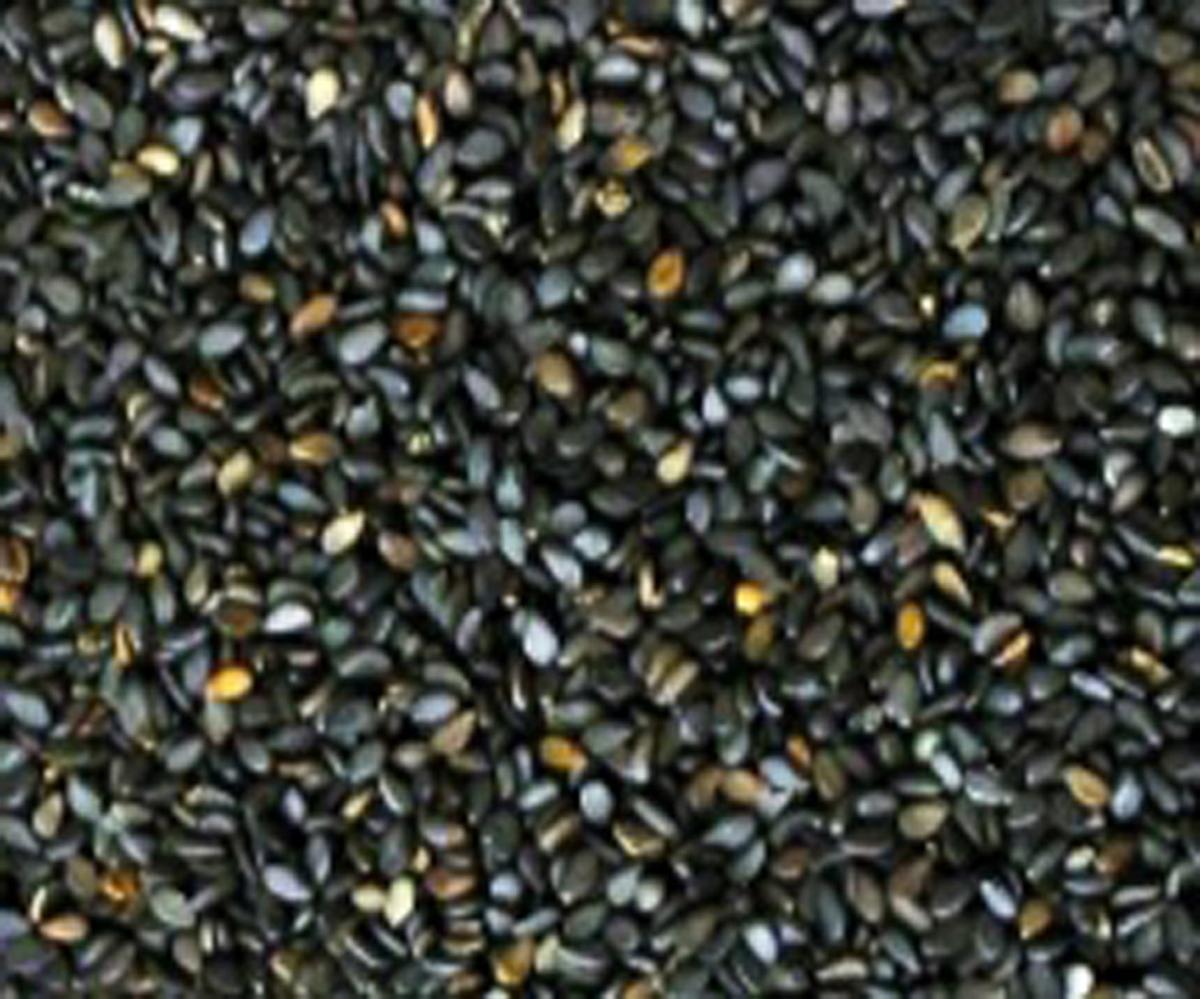 Five agricultural products from Kerala getting the GI tag will help ...