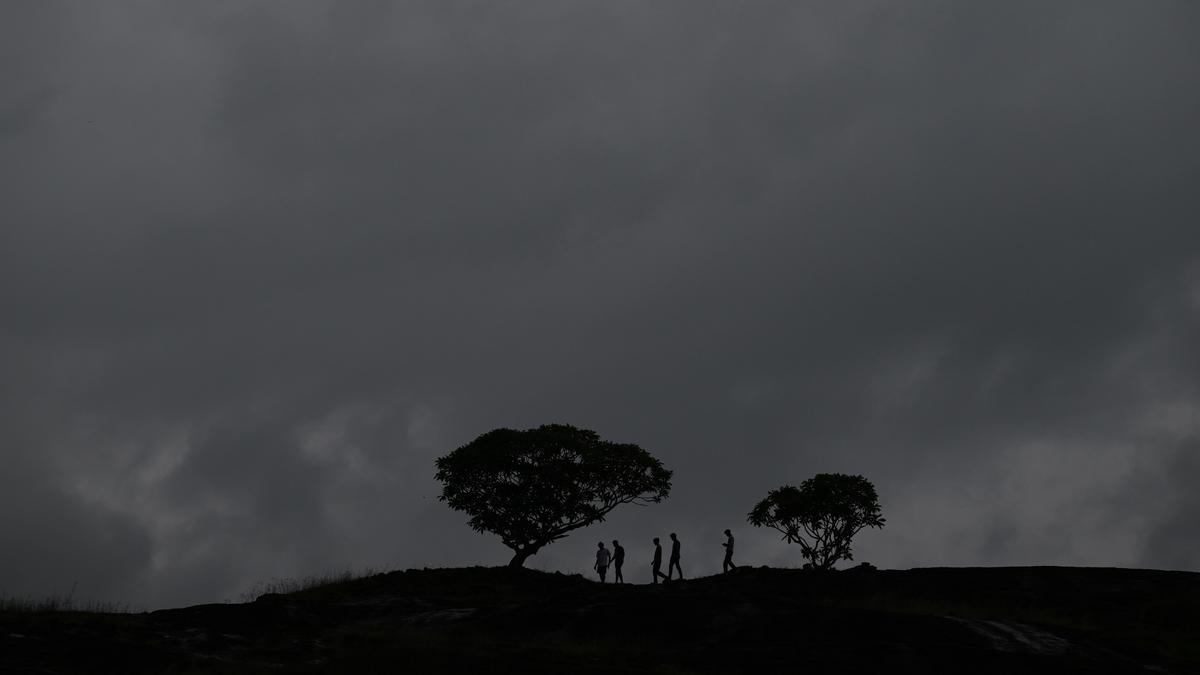 June rainfall 20% below average as monsoon stalls: IMD - The Hindu