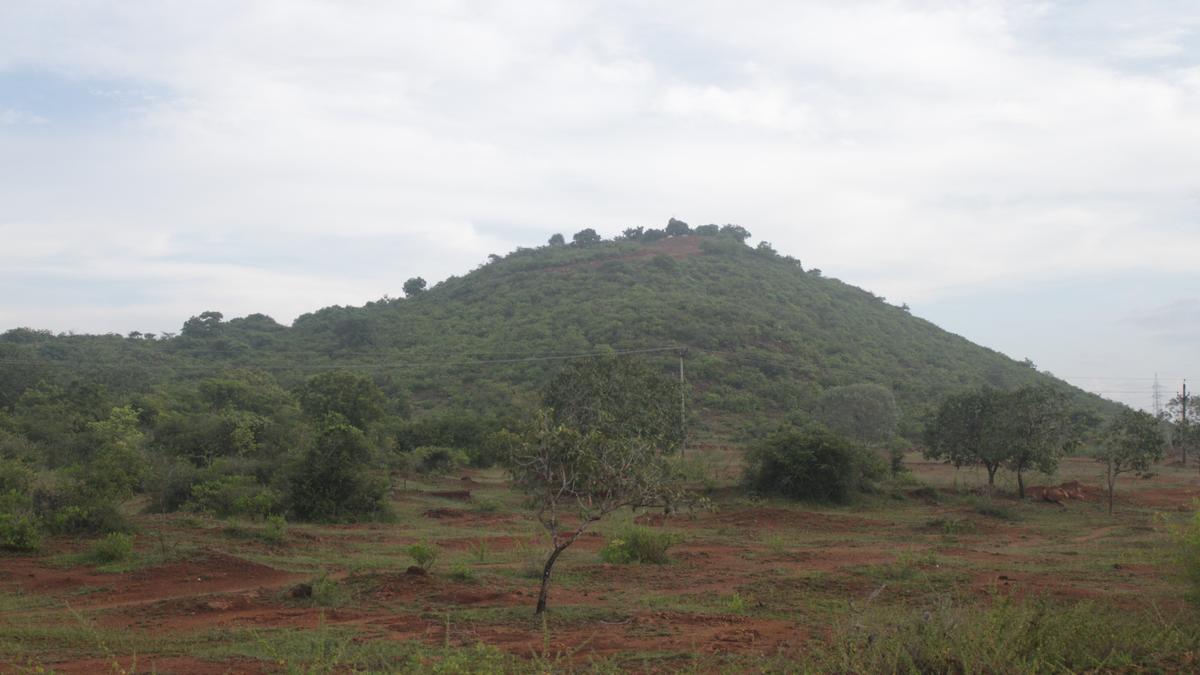 The road to Kayar: Unscripted pauses define the experience - The Hindu