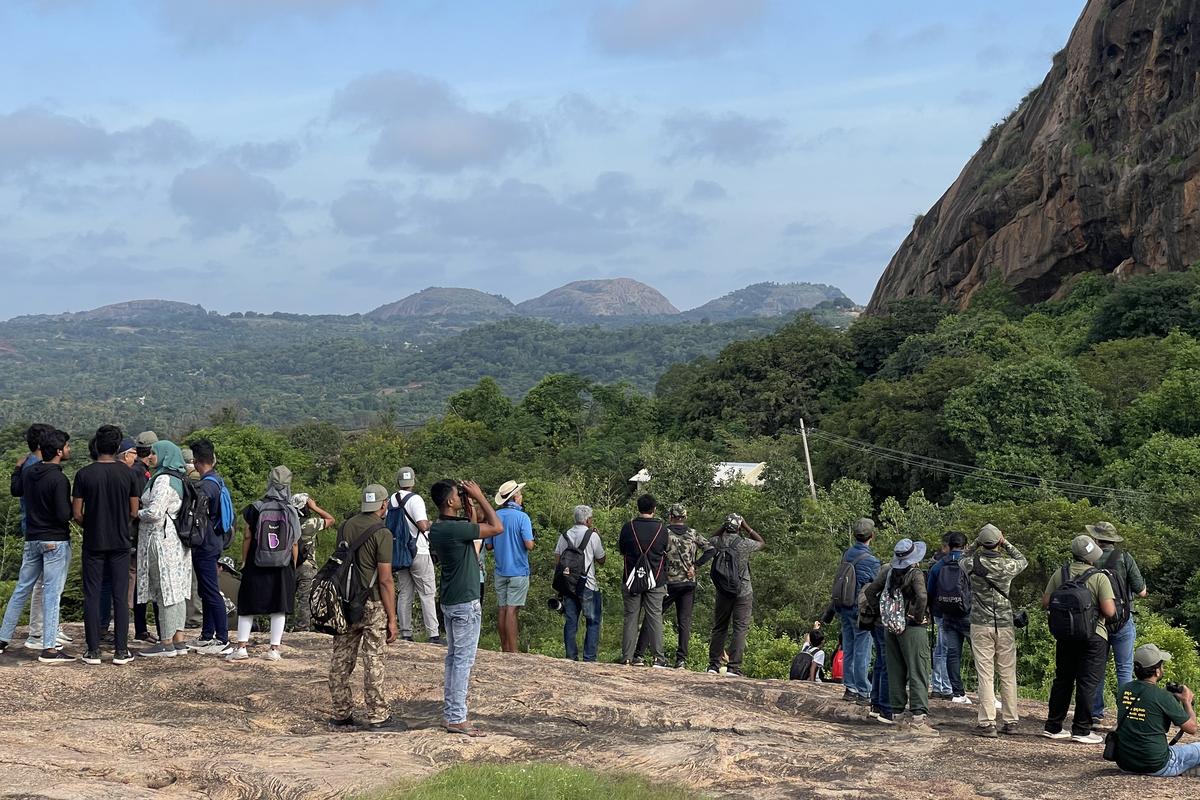 Wings of hope: Can Ramanagara revive its vulture population? - The Hindu
