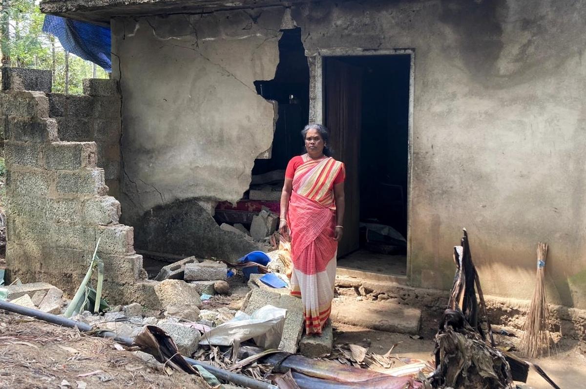 Wild tusker attacks house at 301 colony - The Hindu