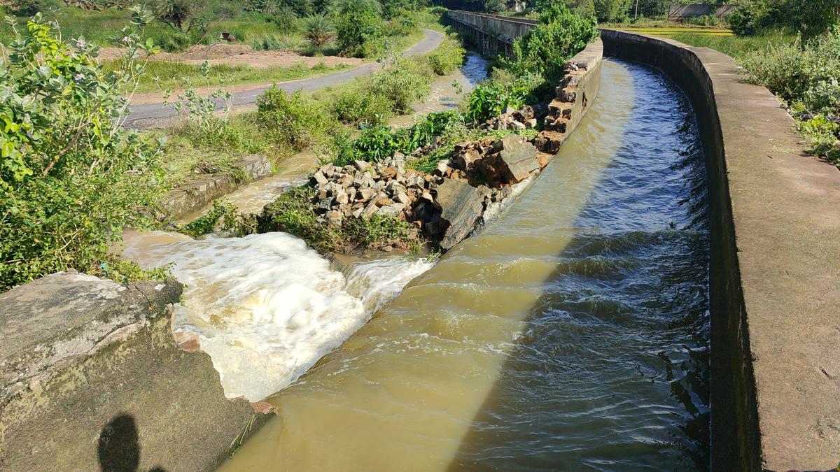 Heavy rain causes breach in left main canal of Kelavarapalli dam - The ...