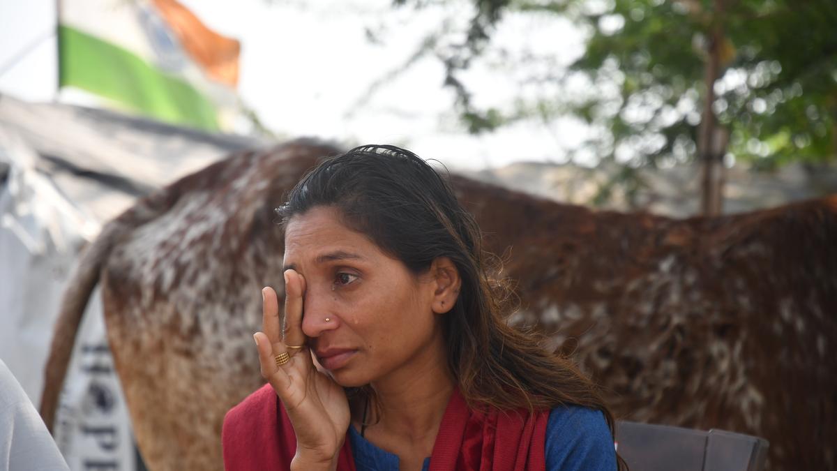 Vasant Kunj dog attacks: post-mortem confirms minors died of canine ...