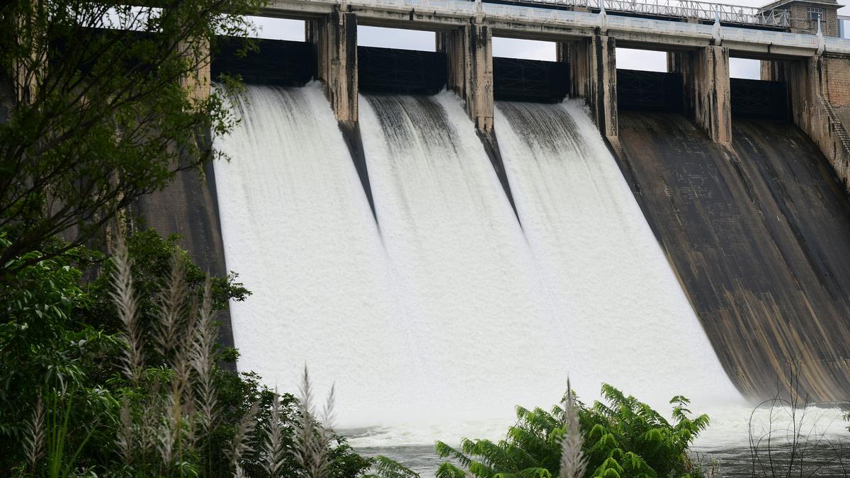 Water level in Papanasam and Manimuthar dams - The Hindu