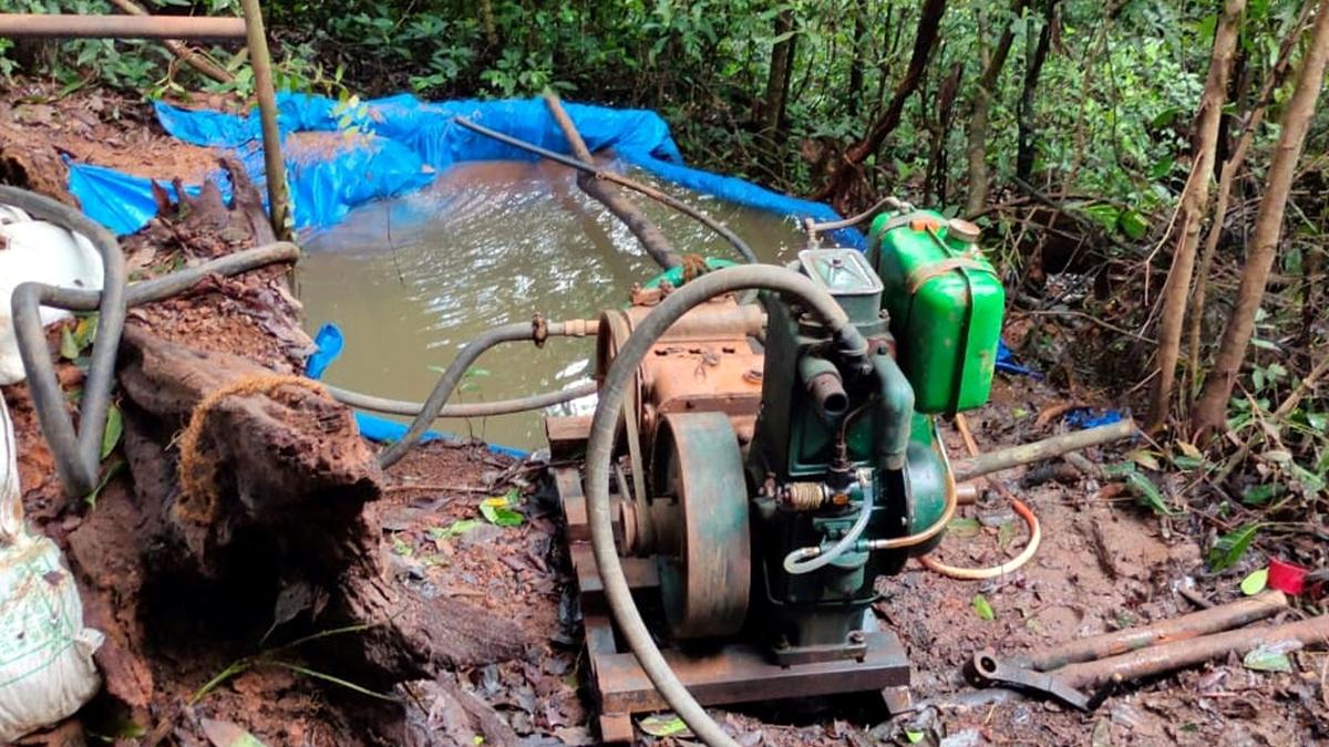 Environmentalists, power sector experts question pumped storage project ...