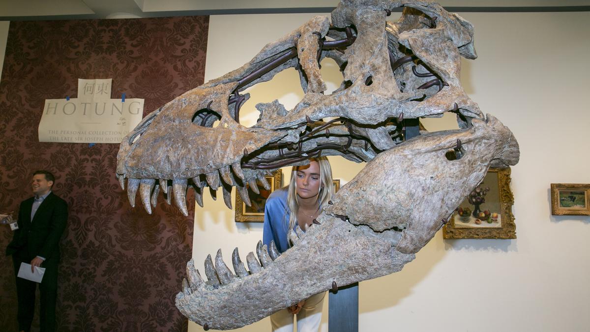 Do multimillion-dollar dinosaur auctions erode trust in science? - The ...