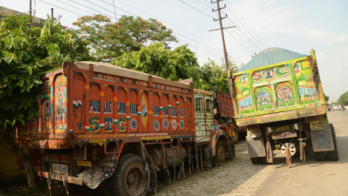 Seven exotic primates, drugs seized in southern Assam - The Hindu