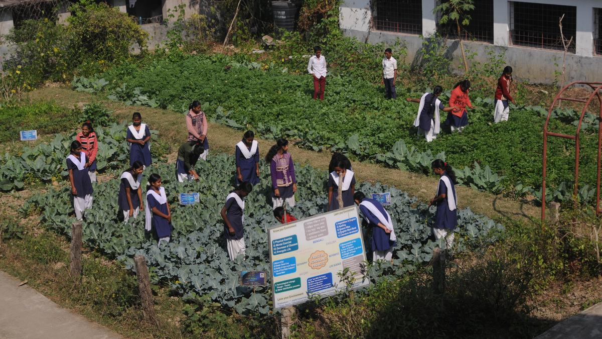 The teachers in Sundarban struggling to keep students afloat - The Hindu