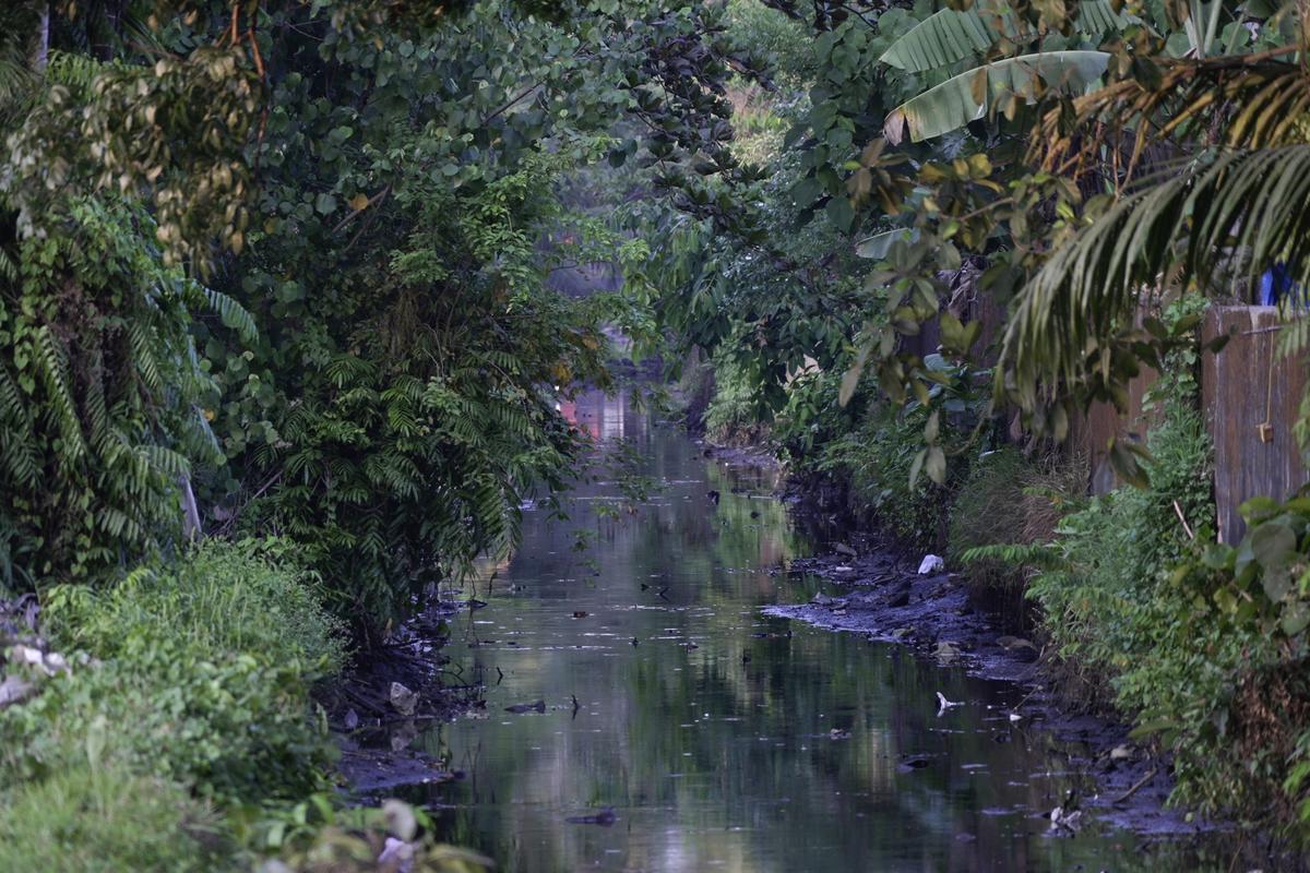 Eloor’s residents try to save river, officials deny problems - The Hindu