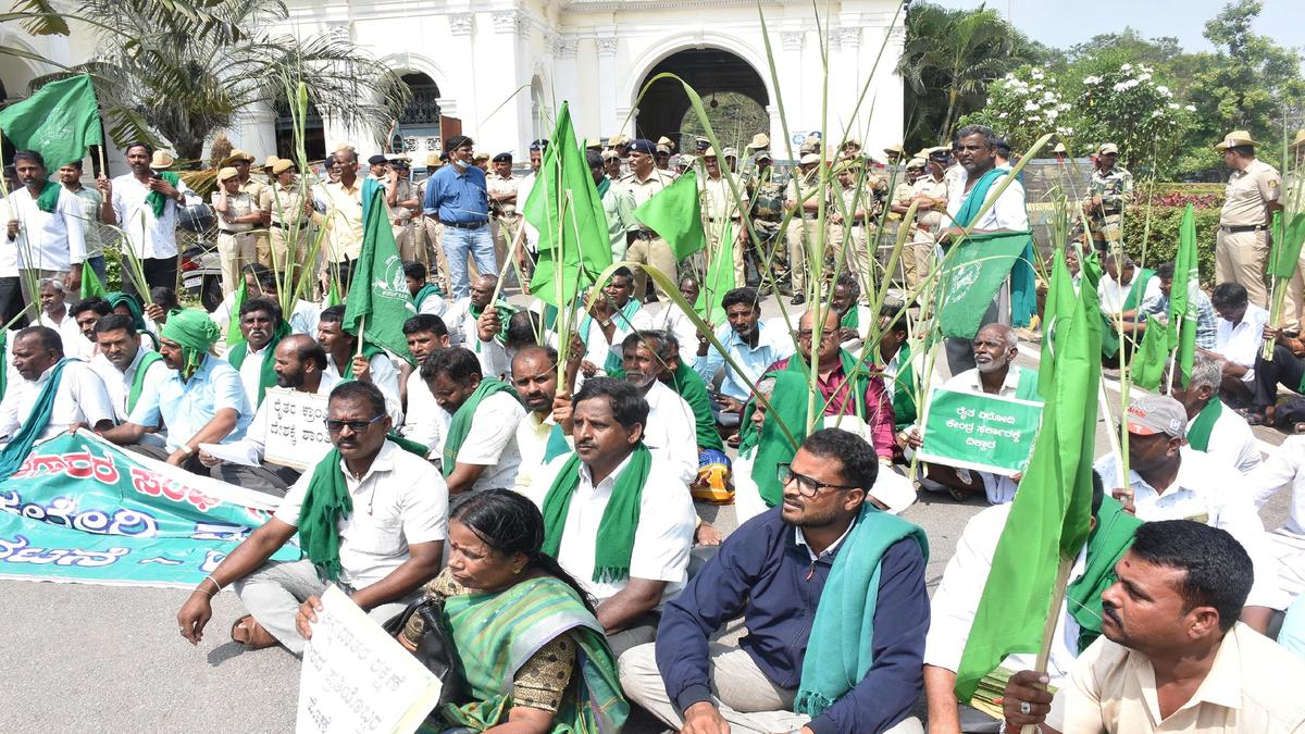 Farmers’ protest seeking higher FRP for sugarcane continues - The Hindu