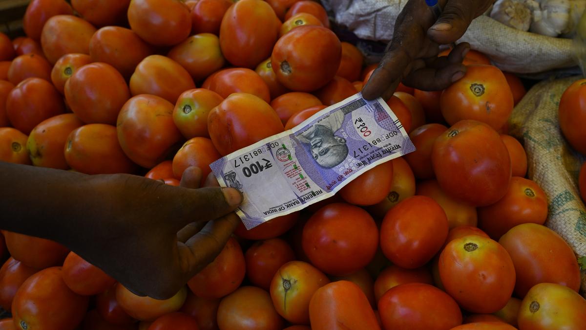 Economic Survey 2023 24 Short Term Inflation Outlook Benign The Hindu