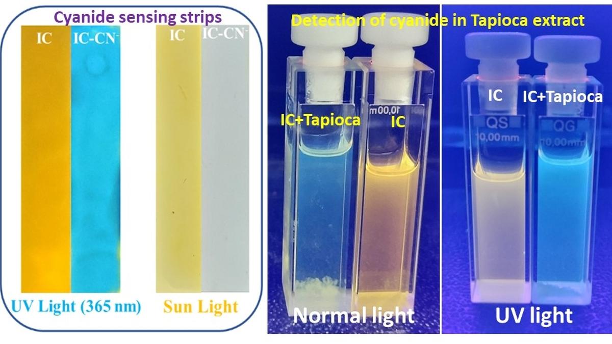 Kerala researchers develop breakthrough cyanide sensor to enhance ...