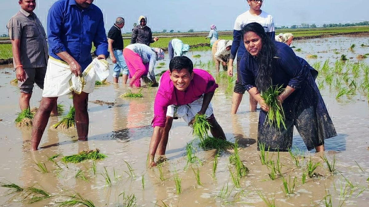 Bapatla, Prakasam Collectors surprise farm workers, try their hand at ... Bapatla, Prakasam Collectors surprise farm workers, try their hand at ...