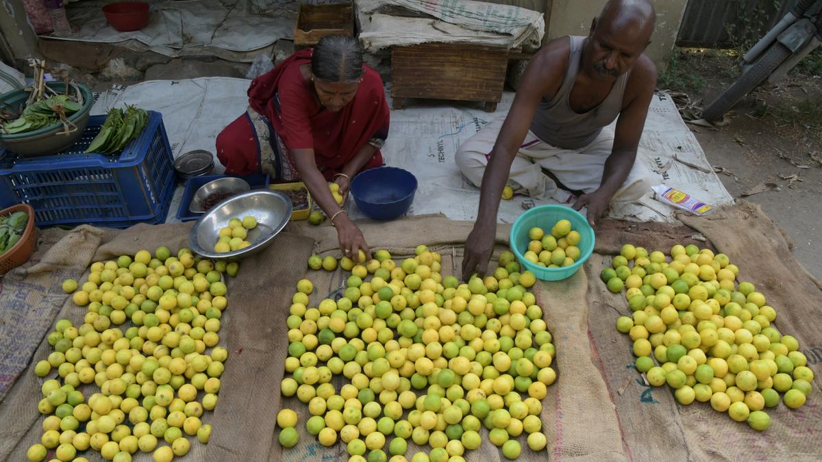 Lemon price soars at Erode markets - The Hindu